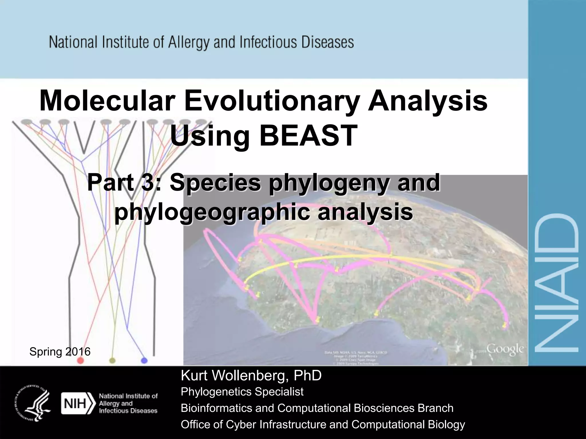 BEAST Phylogenetics Species Trees Gene Trees Phylogeography | PPT