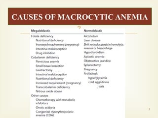 Lecture 3 Folate and B12 metabolasm and Megaloblastic anemia-1.pptx
