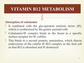 Lecture 3 Folate and B12 metabolasm and Megaloblastic anemia-1.pptx