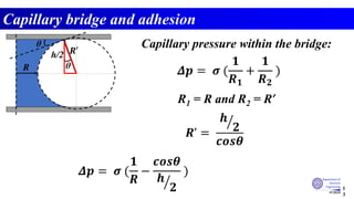 Lecture 3_forces and capillary bridge.pdf | Chemistry | Science