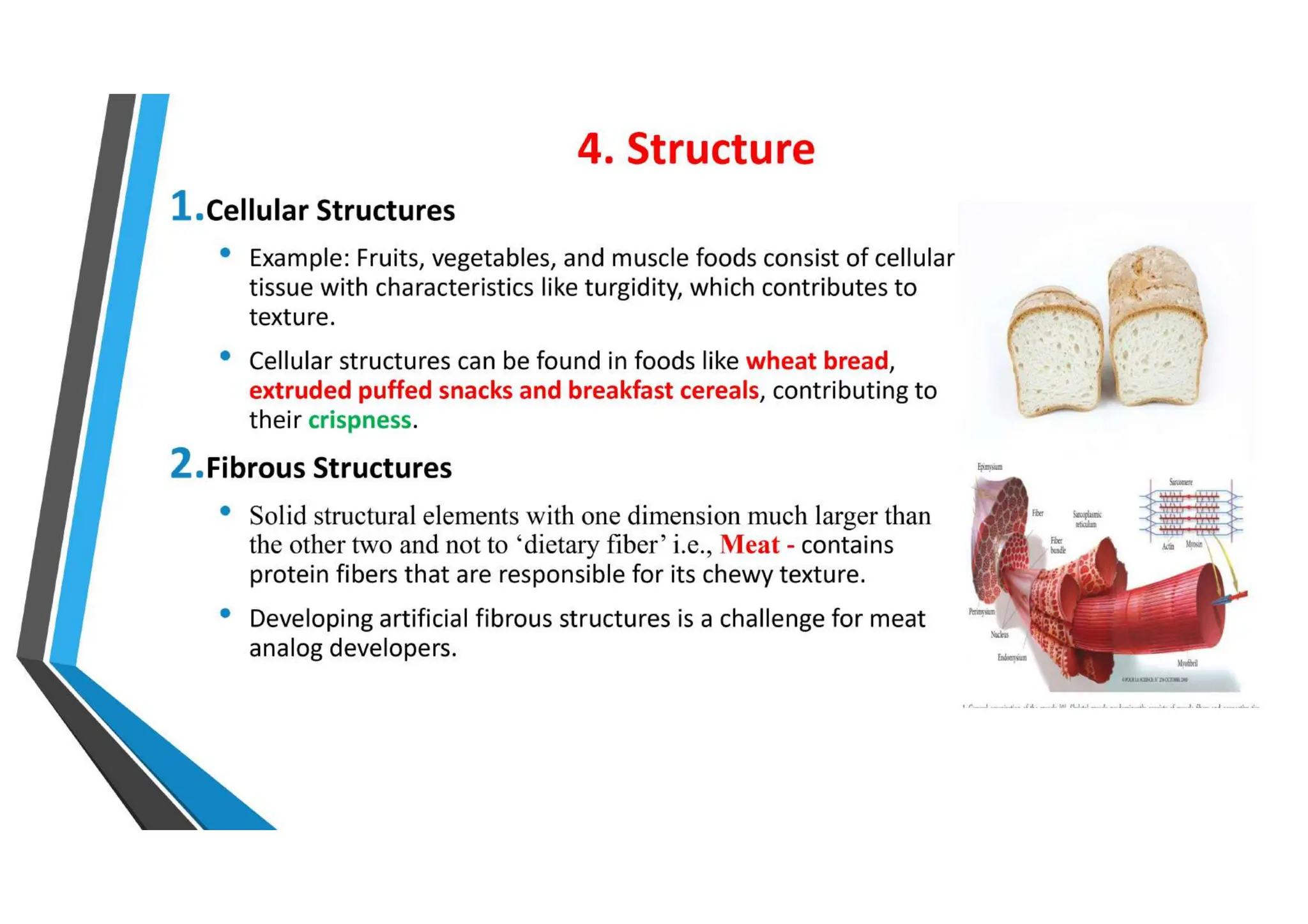 Physical Properties of different food materials | PDF