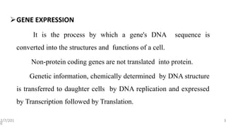 lecture 3 Gene expression pptx | PPTX