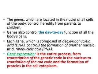 lecture3geneticcontrolcellreproduction-180702011658.pdf