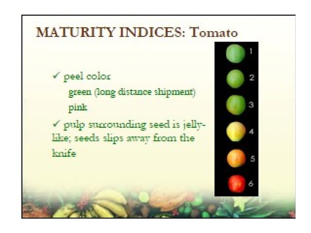 Maturity Indices and Assessment of Maturity | PPT