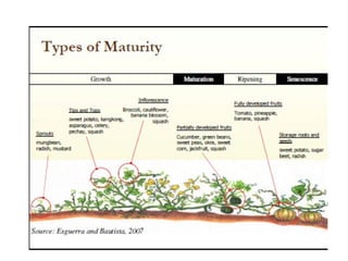 Maturity Indices and Assessment of Maturity | PPT