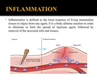 Lecture 3_Inflammation and its types_acute inflammation.pptx