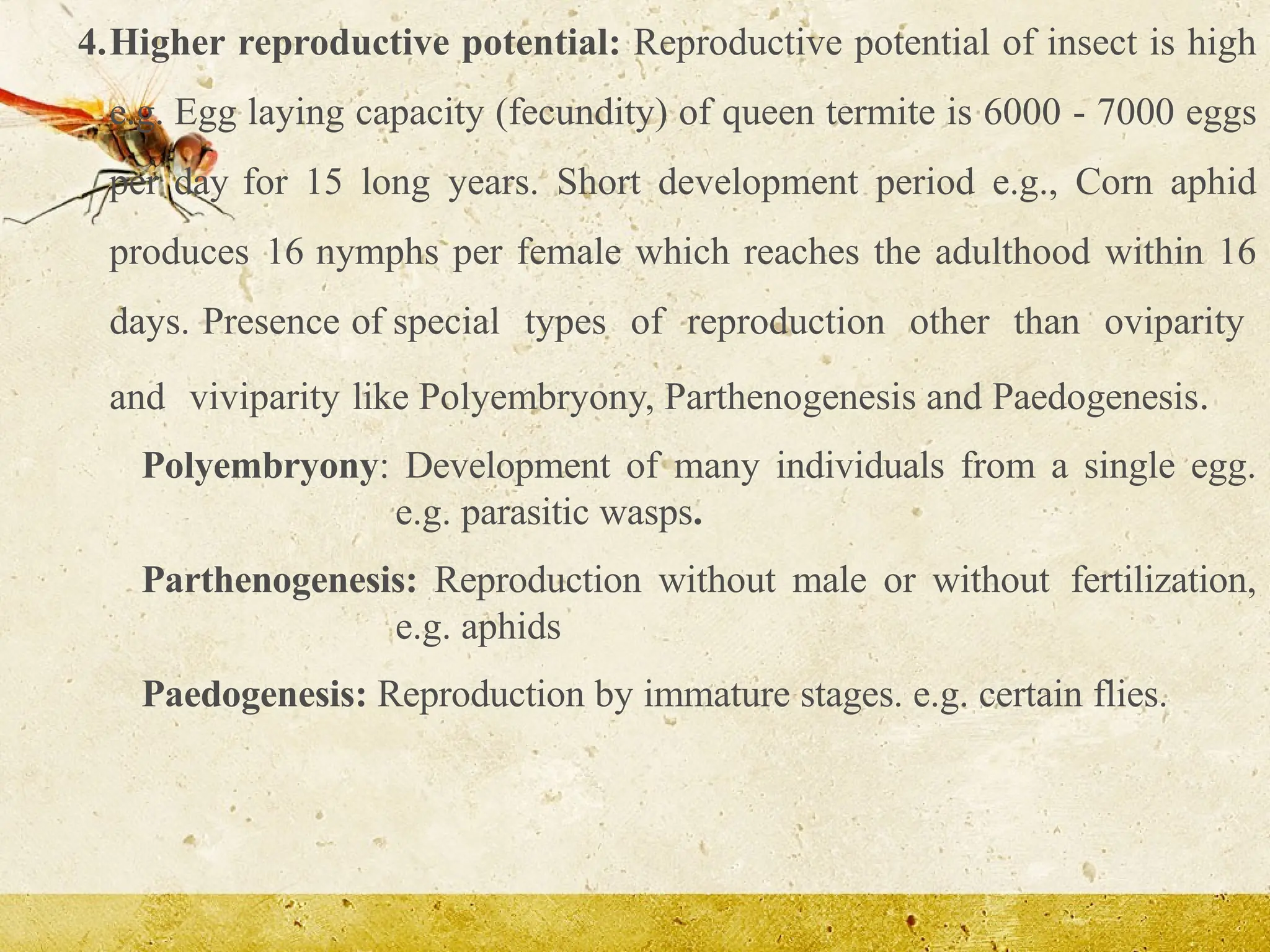 Lecture 3*"The Dominance of Insects"* .pptx