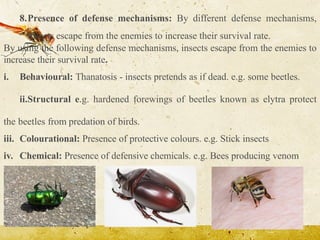 Lecture 3*"The Dominance of Insects"* .pptx