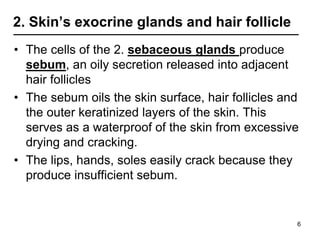 lecture 3 integument.ppt