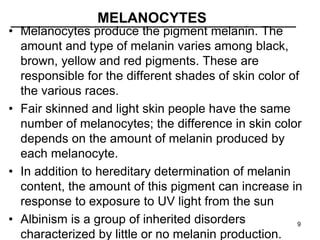 lecture 3 integument.ppt