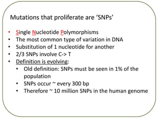 Lecture 3 l dand_haplotypes_full | PPTX