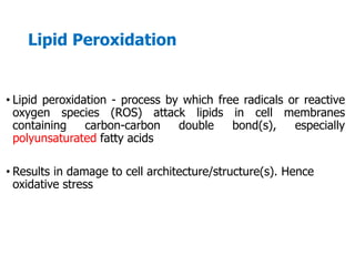LECTURE 3 Lipid peroxidation.pdf