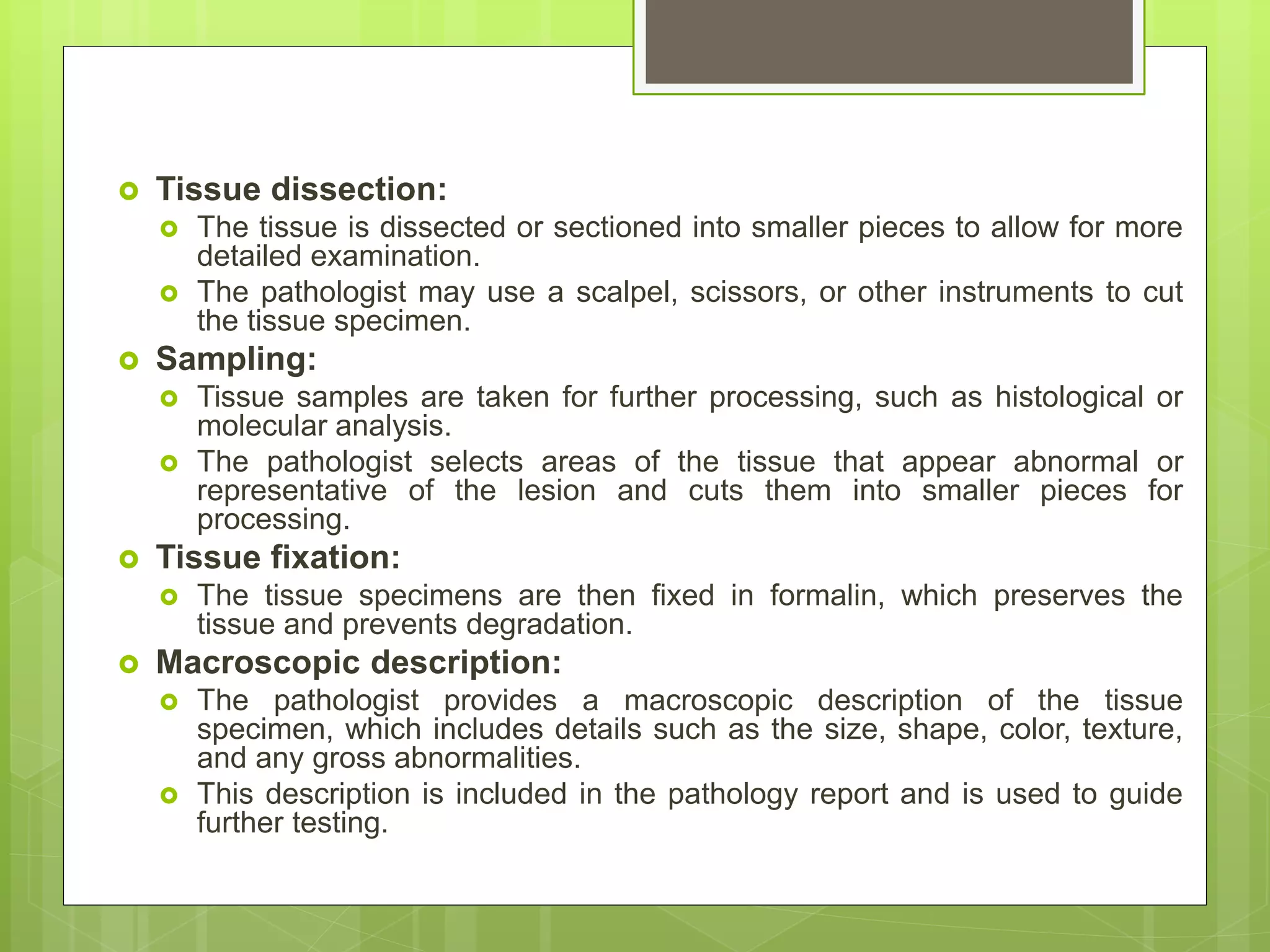 SAMPLE COLLECTION | PPTX