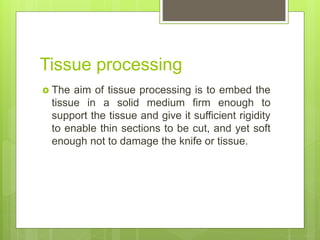 SAMPLE COLLECTION | PPTX