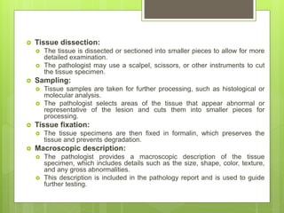 SAMPLE COLLECTION | PPTX