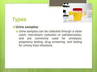 SAMPLE COLLECTION | PPTX