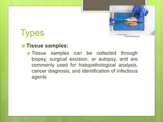 SAMPLE COLLECTION | PPTX