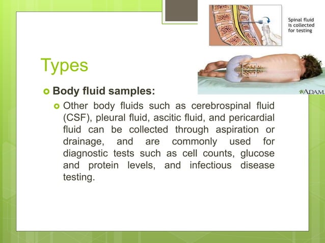 SAMPLE COLLECTION | PPT