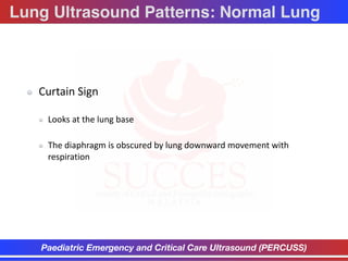 Paediatric Emergency and Critical Care Ultrasound - Lung Ultrasound | PDF