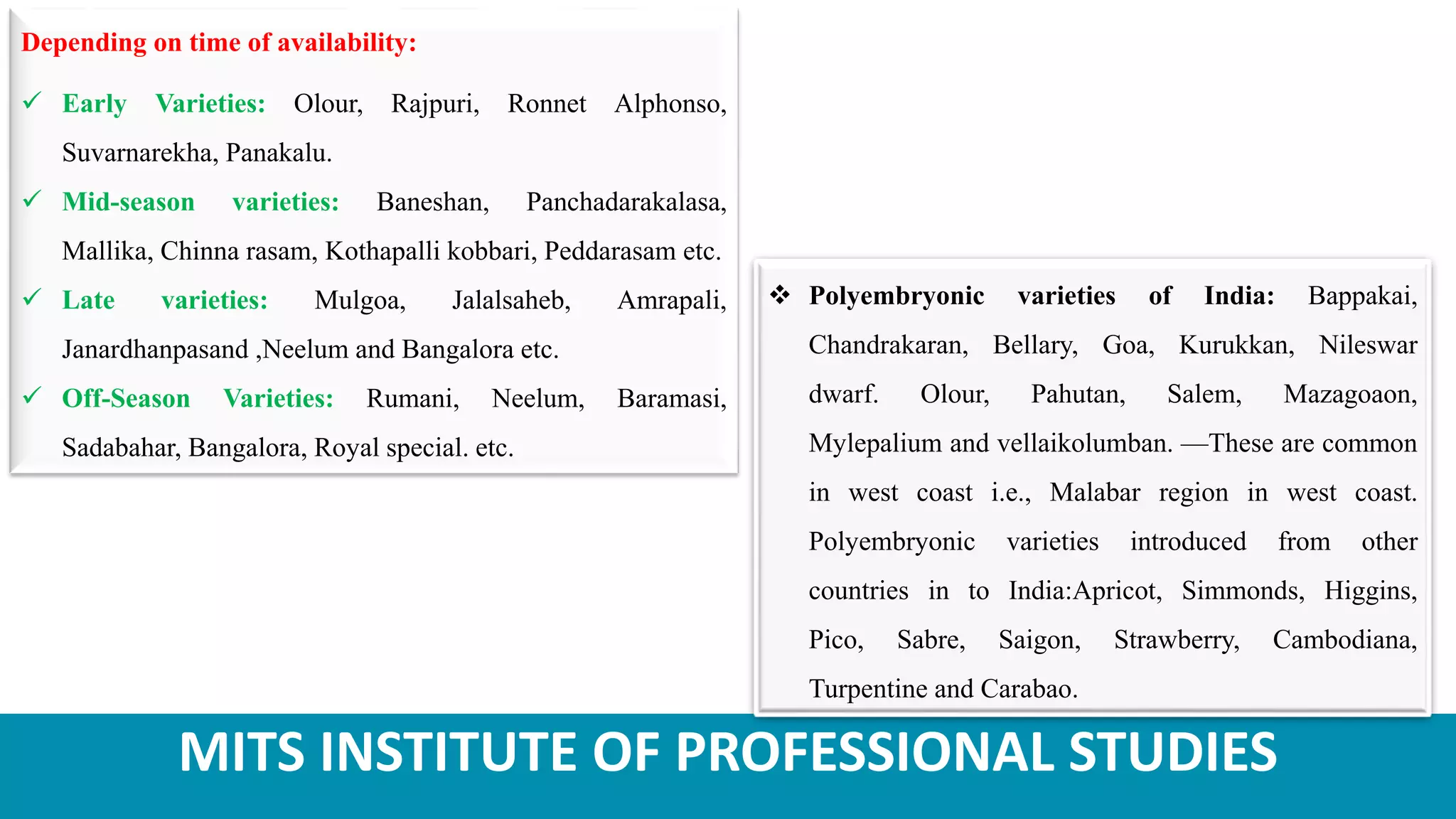 CULTIVATION PRACTICES OF MANGO | PPTX
