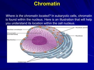 Lecture # 3 (MB).ppt