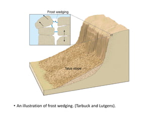 Lecture#3 (Mechanical Weathering and its types).pdf
