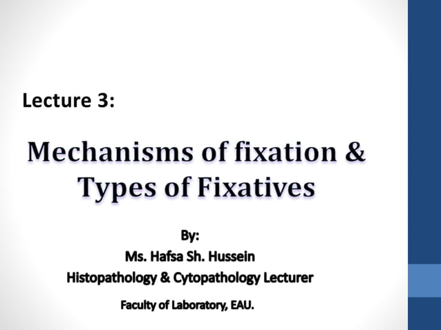 Lecture (3) mechanisms of fixation | PPTX