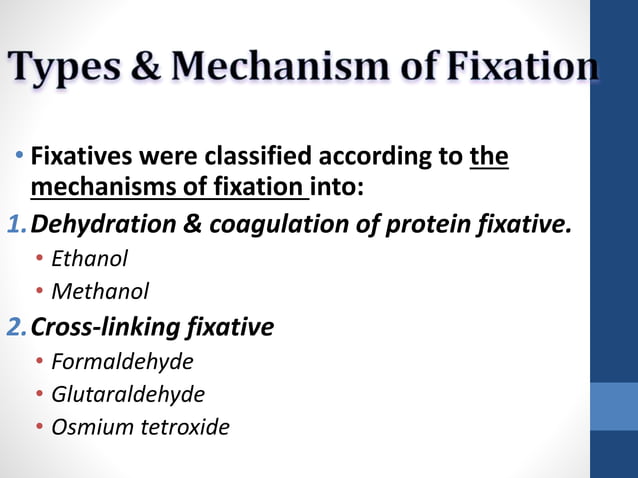 Lecture (3) mechanisms of fixation | PPTX