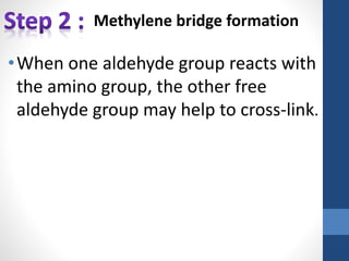 Lecture (3) mechanisms of fixation | PPTX