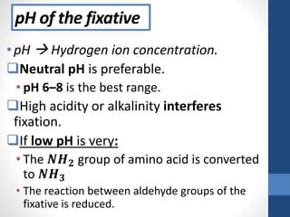 Lecture (3) mechanisms of fixation | PPTX