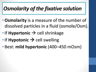 Lecture (3) mechanisms of fixation | PPTX