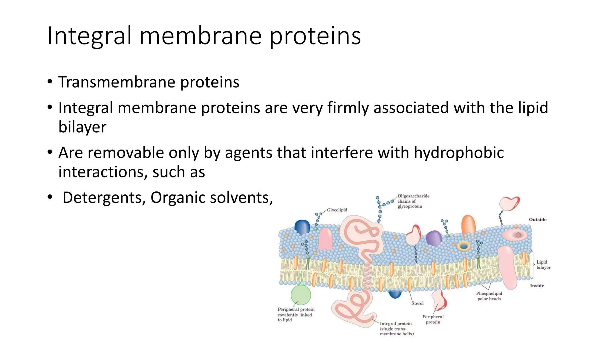 lecture 3 membrane proteins.pptx
