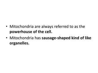 MITOCHONDRIA Is The powerhouse of the cell.pptx