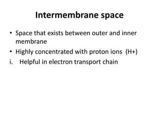 MITOCHONDRIA Is The powerhouse of the cell.pptx