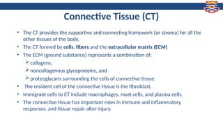 Lecture 3 MLS 148 Connective tissues.ppt