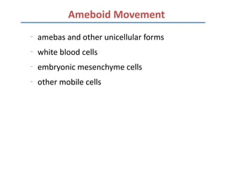 Lecture 3 movement 2nd sem 2008-2009 | PDF