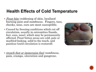 Health hazards Lecture 3 | PPTX