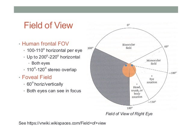 OPTICS | HITMORI LINK