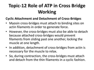 lecture 3 physio.pptx | Biological Sciences | Science