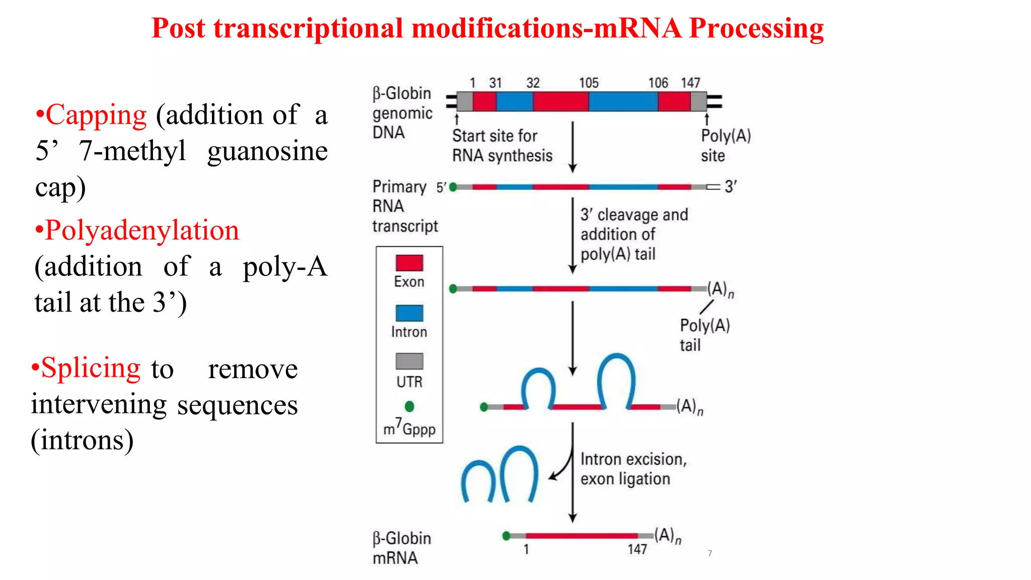Lecture 3 Post Ts Modification-lecture notes.pdf