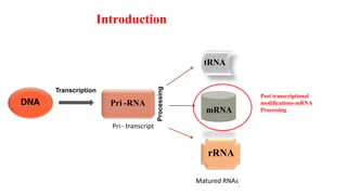Lecture 3 Post Ts Modification-lecture notes.pdf