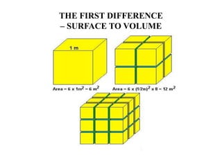 Lecture 3 Properties of Nanomaterial- Surface to Volume Ratio.ppt