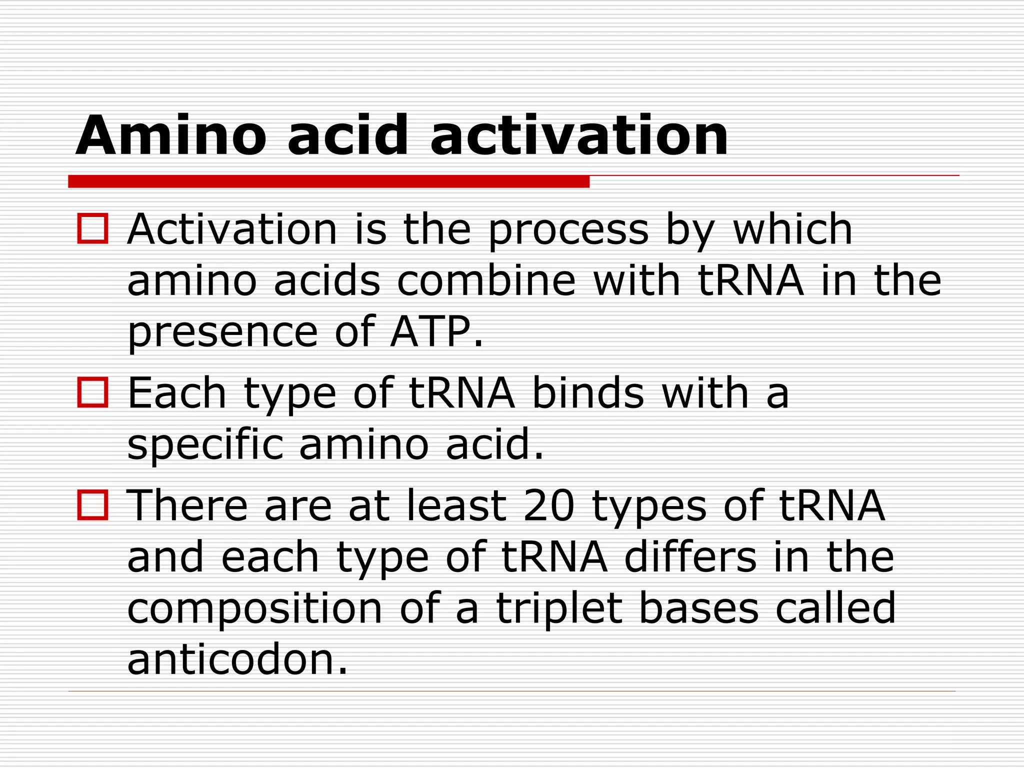 Lecture 3 protein synthesis | PPTX