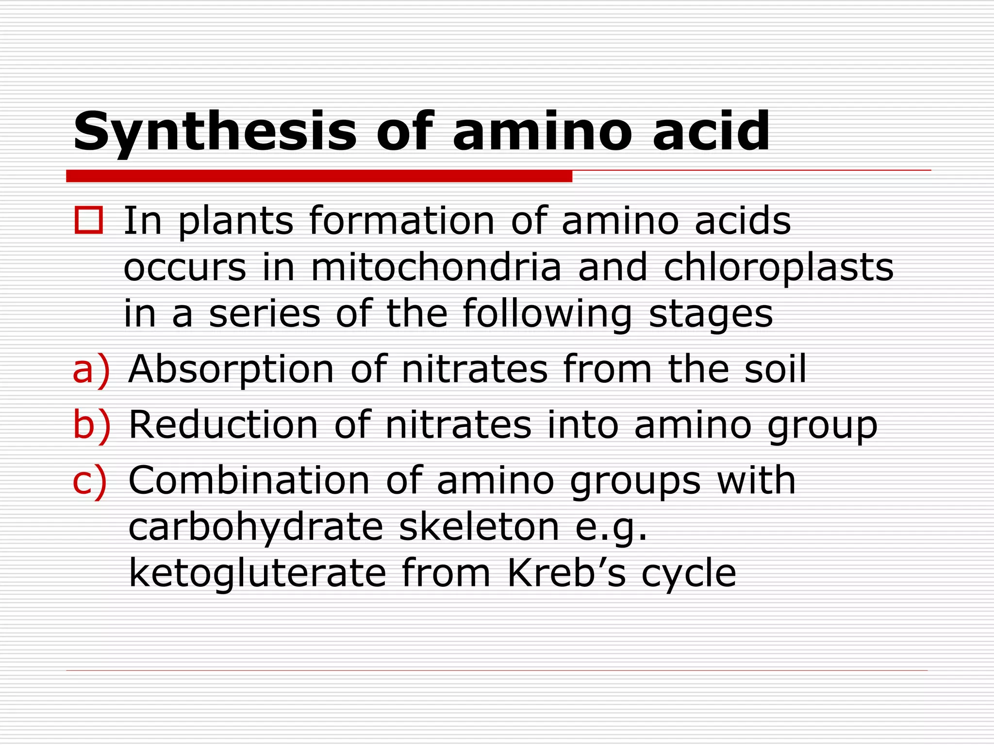 Lecture 3 protein synthesis | PPTX
