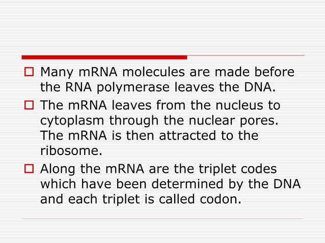 Lecture 3 protein synthesis | PPTX