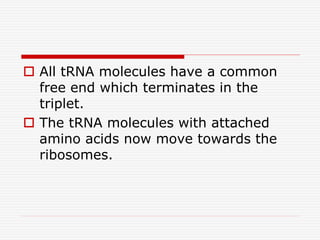 Lecture 3 protein synthesis | PPTX