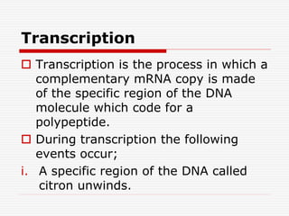 Lecture 3 protein synthesis | PPTX