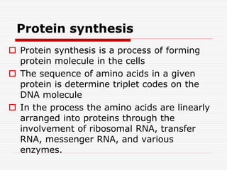 Lecture 3 protein synthesis | PPT