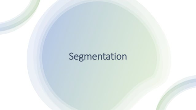 Lecture 3 Segmentation, Targeting, Positioning.pptx