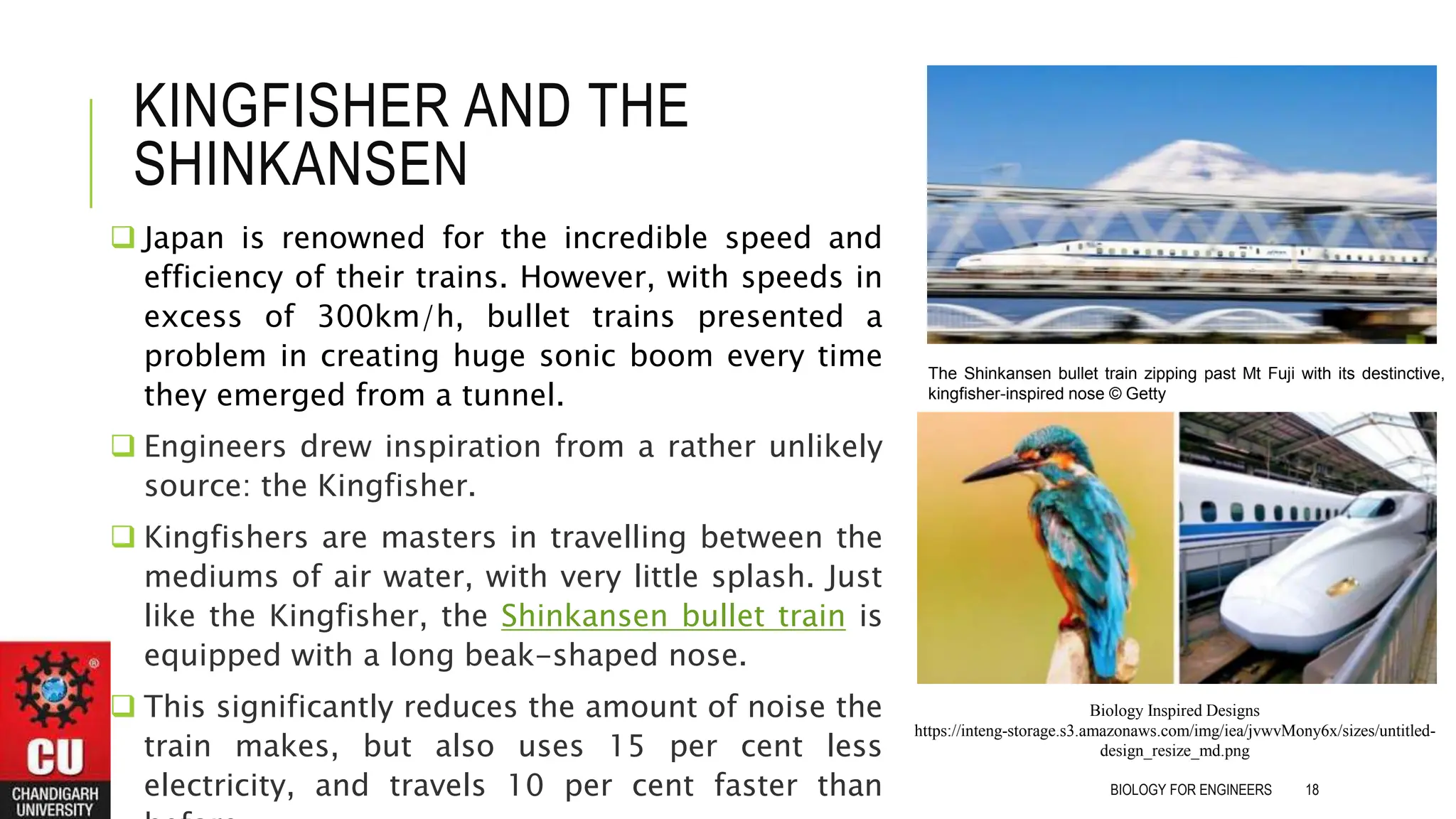 Significance of Biology in Engineeringing.ppt